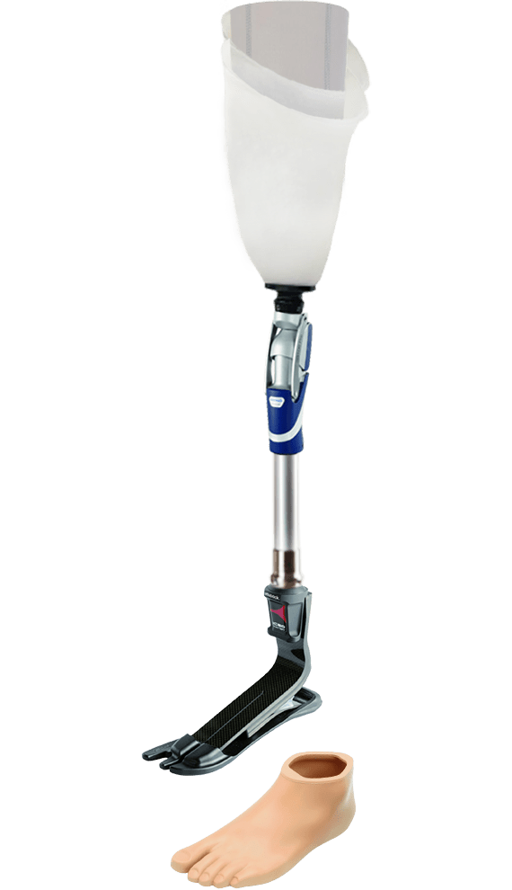 TFP Double Socket, Ottobock Skeo 3D Locking Liner, Ottobock 3R106 Pro ...