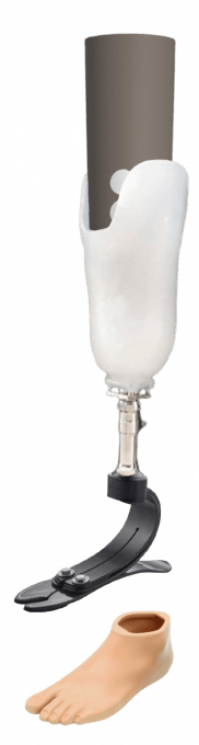 TTP Single Socket, Ossur Iceross Dermo Locking Liner, Ossur Pro-Flex XC ...